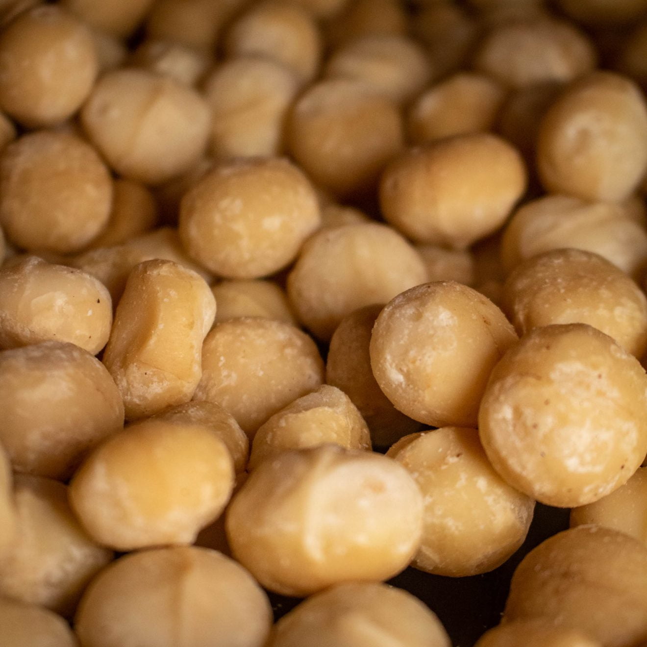 Makadamija orah (Australijski orah) | Healthy Jungle