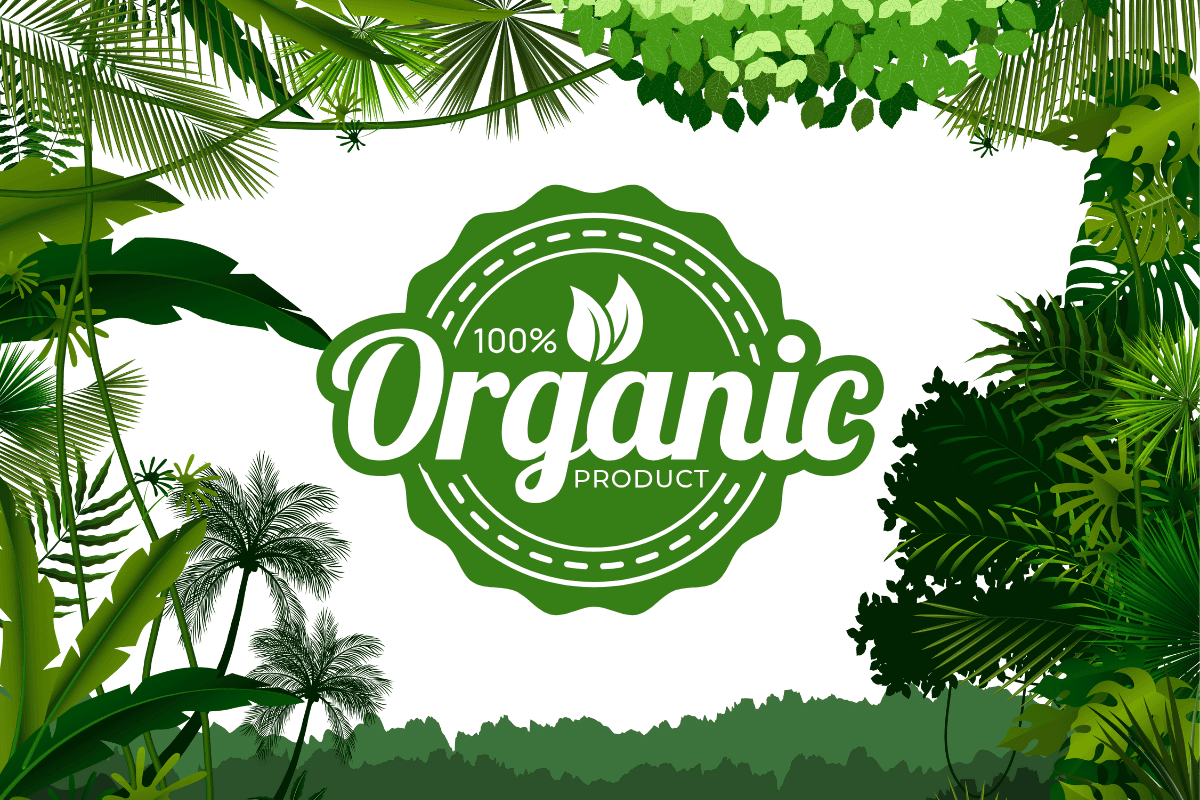 Organski proizvodi | Organska hrana | Healthy Jungle